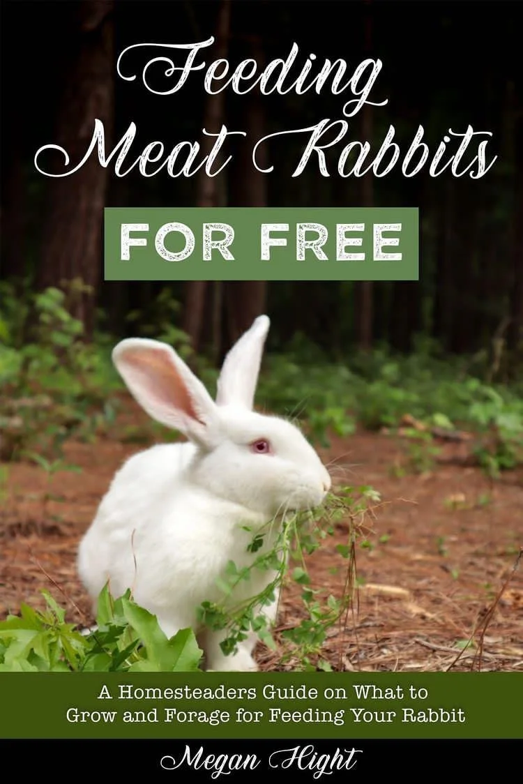 Feed The Rabbits Poster