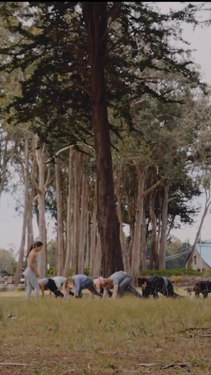 Spring Ranch Mendocino