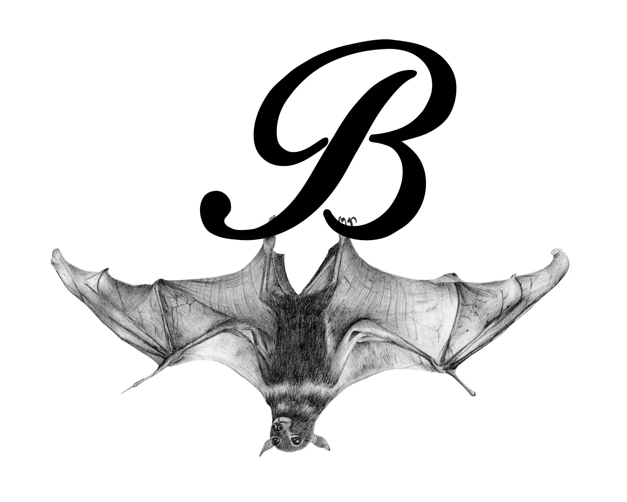 Alphabet Animals — Stacy Hsu Design & Illustration