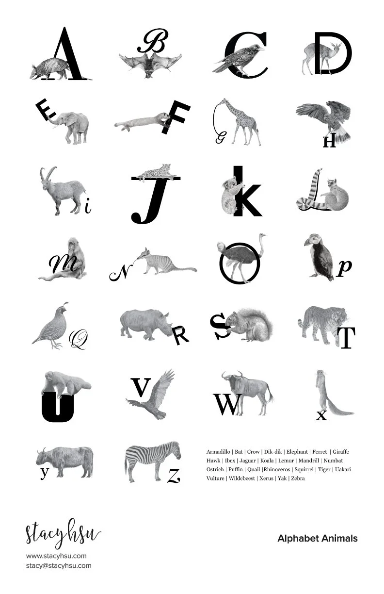 Licensing Portfolio | Explore Creative Designs — Stacy Hsu Design ...