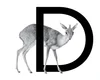 Alphabet Animals — Stacy Hsu Design & Illustration