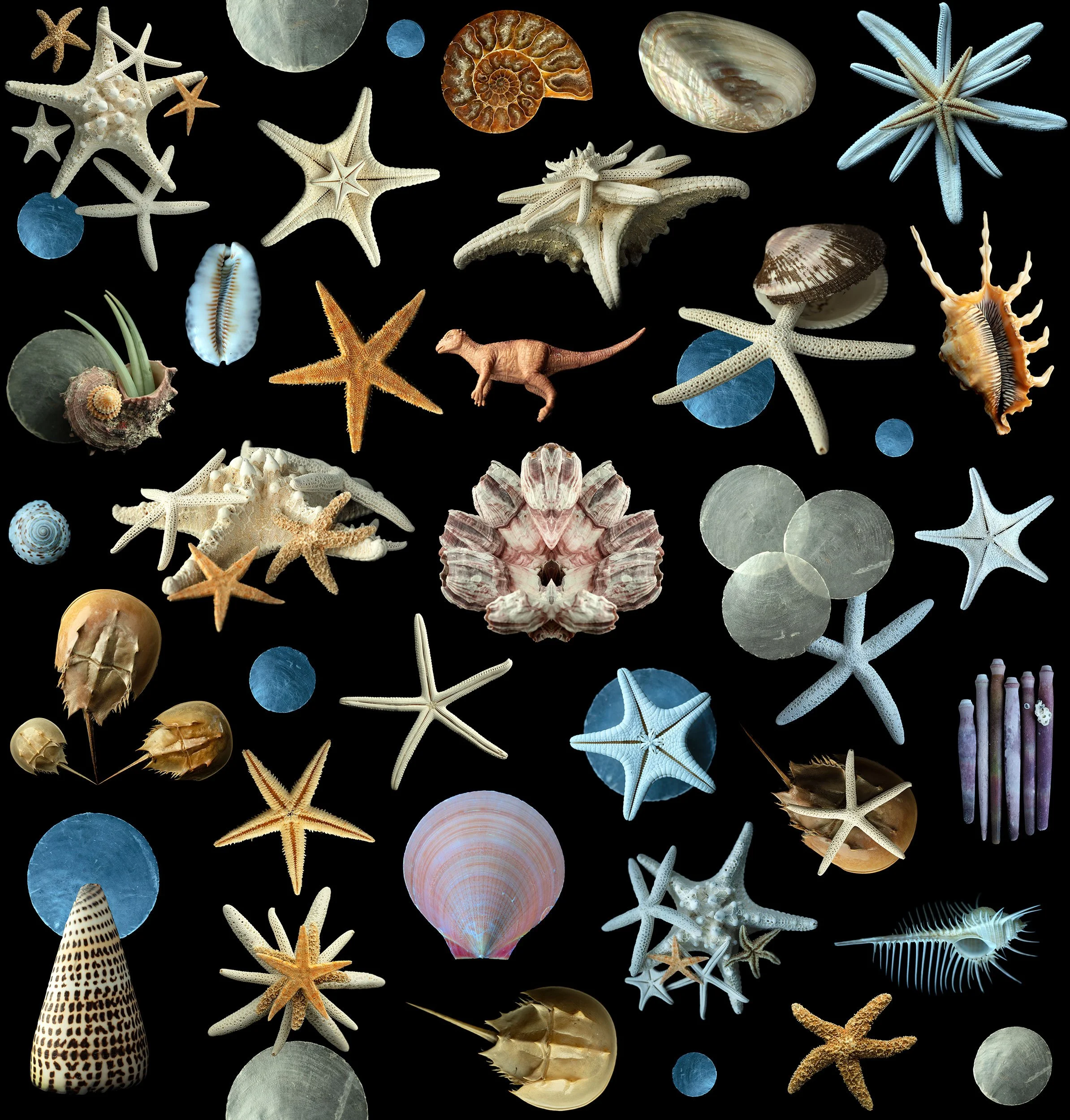 Chicago Wallpaper Online Shop | Urban Source — Urban Source