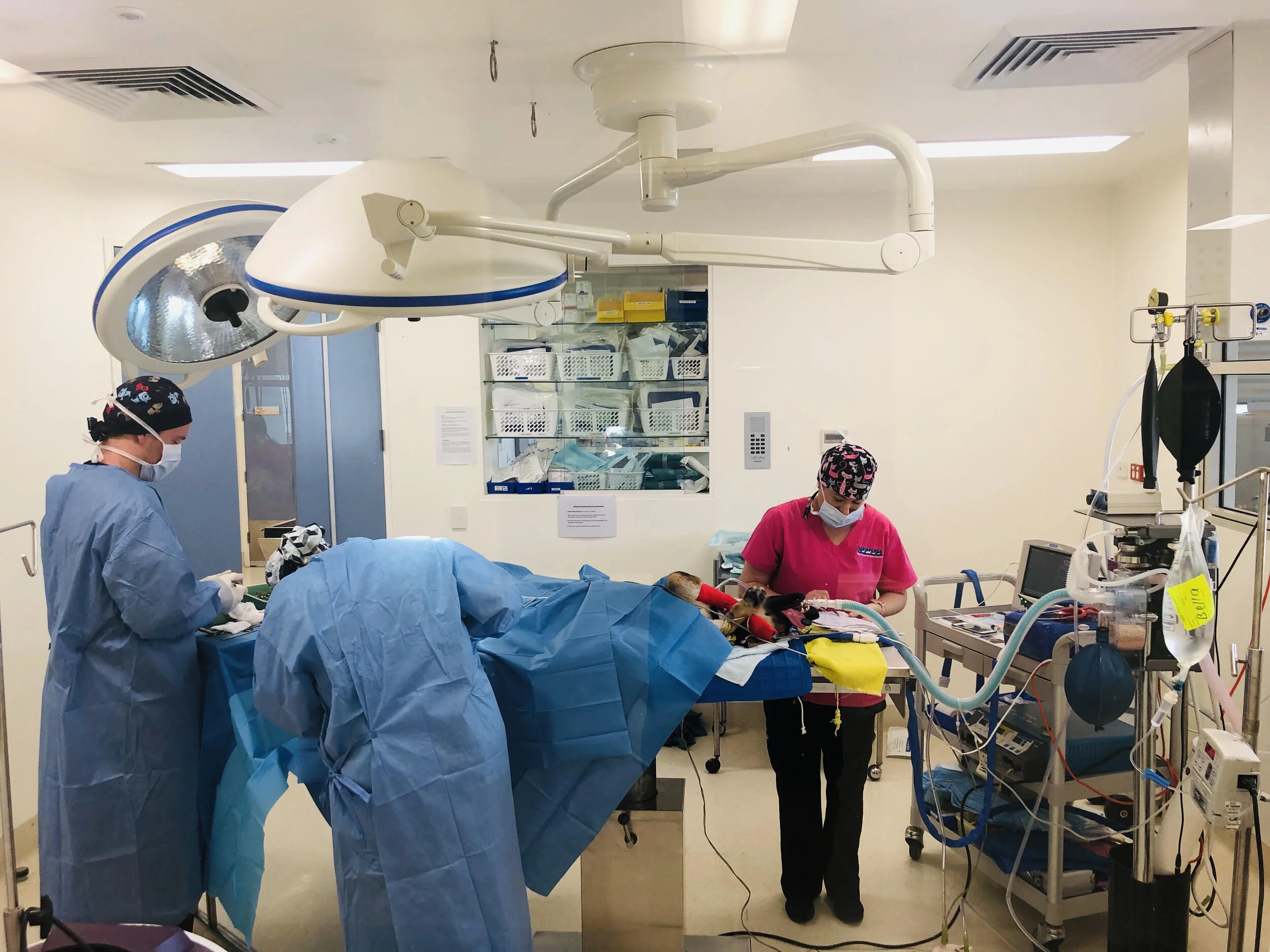 Facilities — Wagga Vet