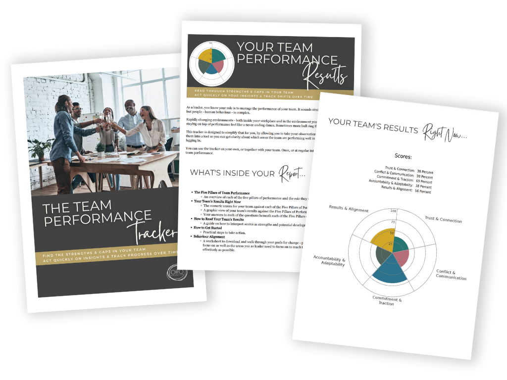 The Team Performance Tracker: Oro Collective