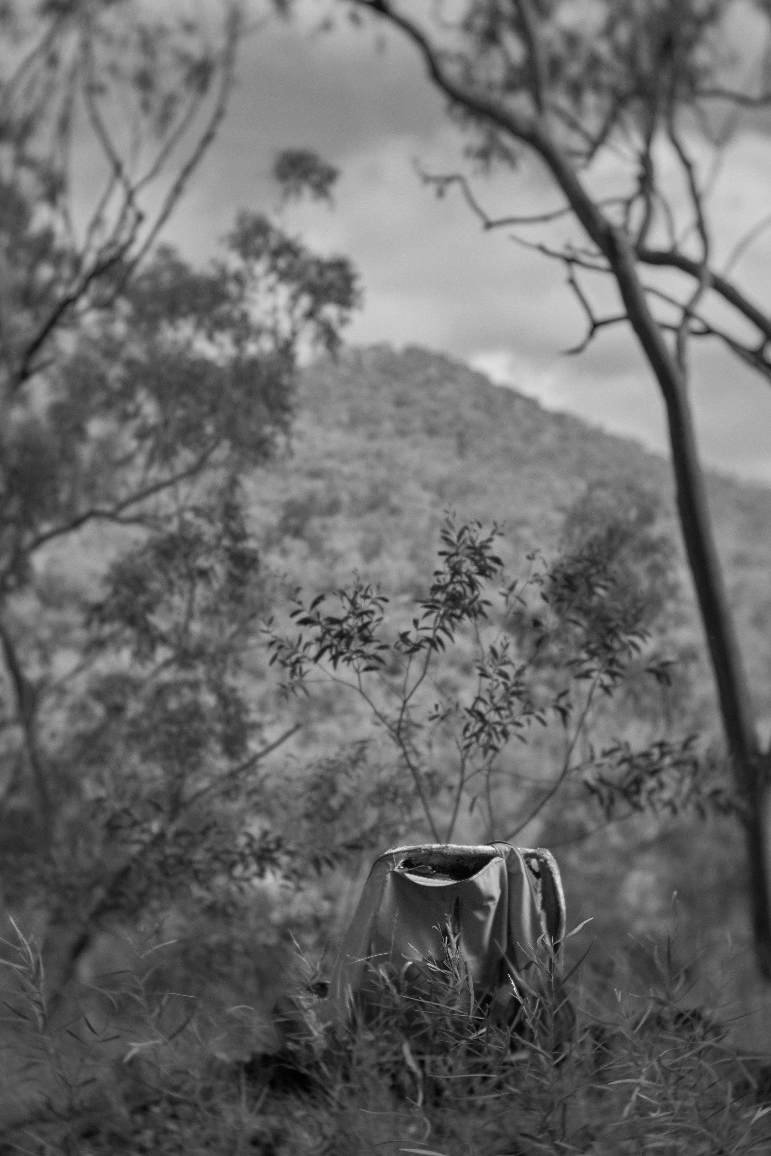 Creative February 2025 - 16th February — Tim Trim Photography ...