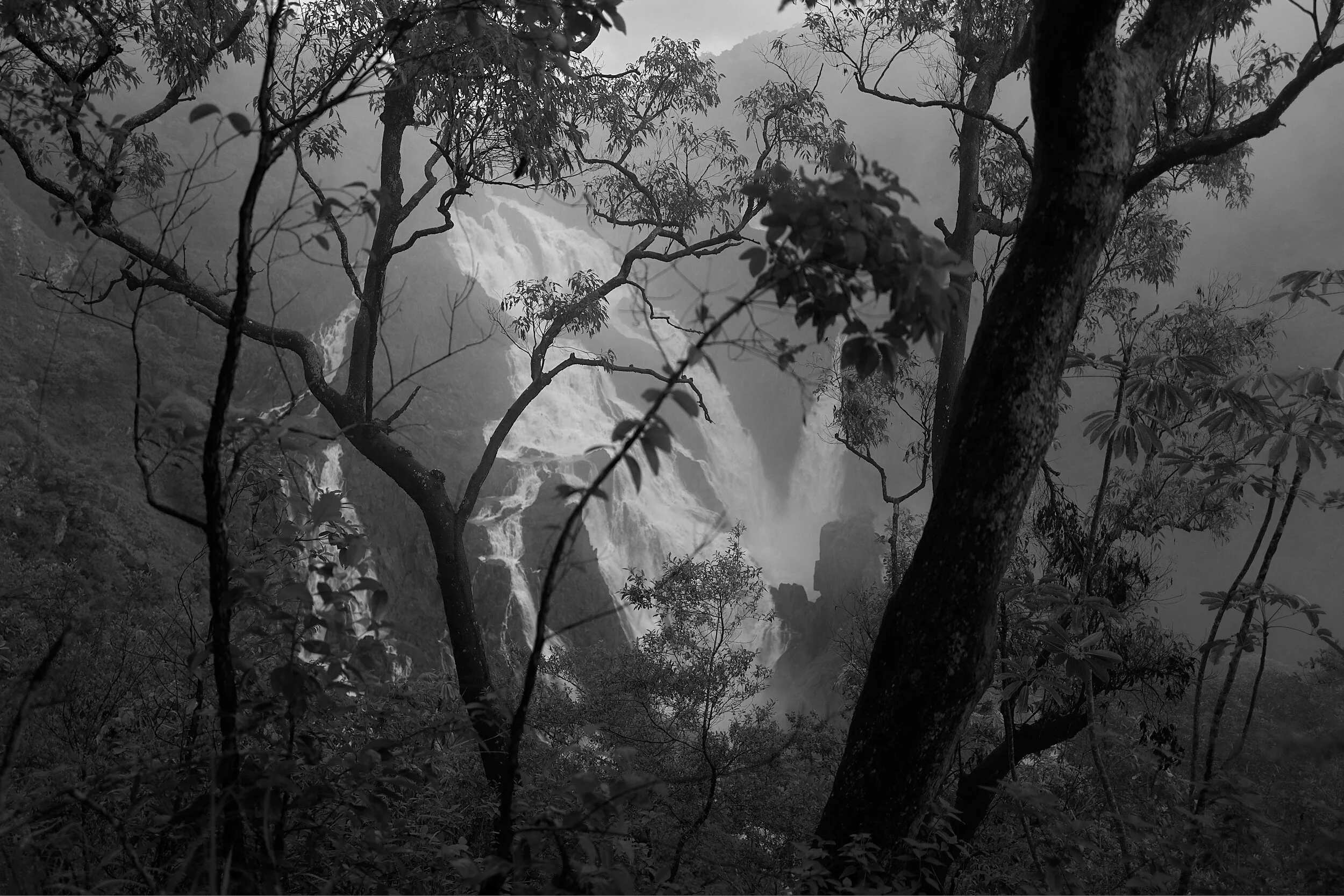 Din Din (Barron Falls) Kuranda — Tim Trim Photography | Photographic ...