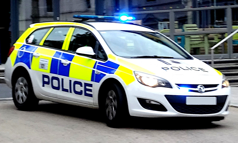 Library Live | What's On