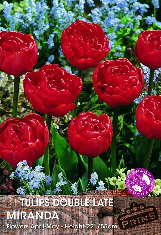 Shop | Harpins at Ackworth Garden Centre - West Yorkshire