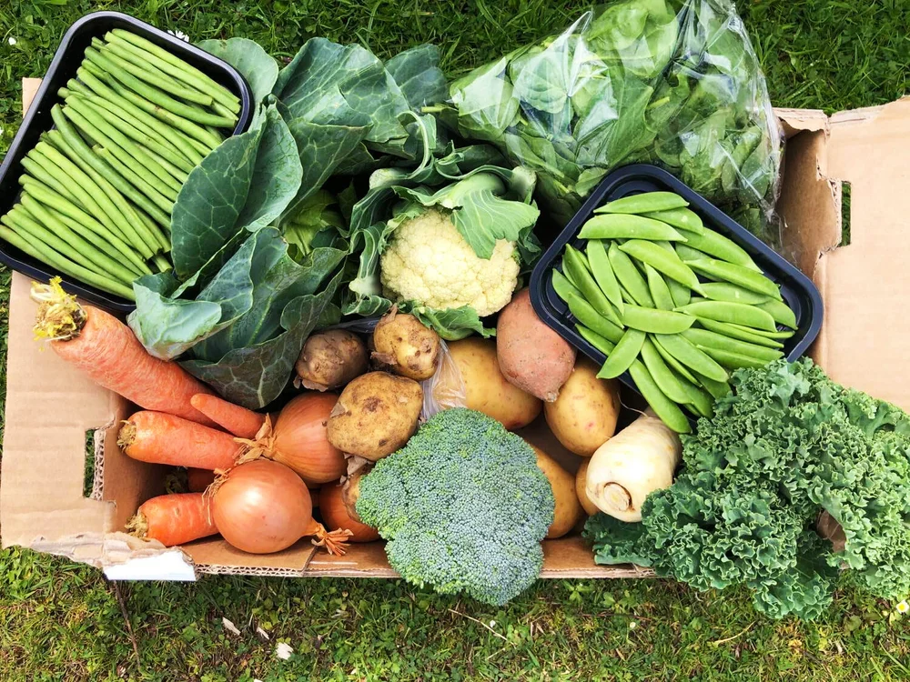 Shop Now — Benarty Fruits