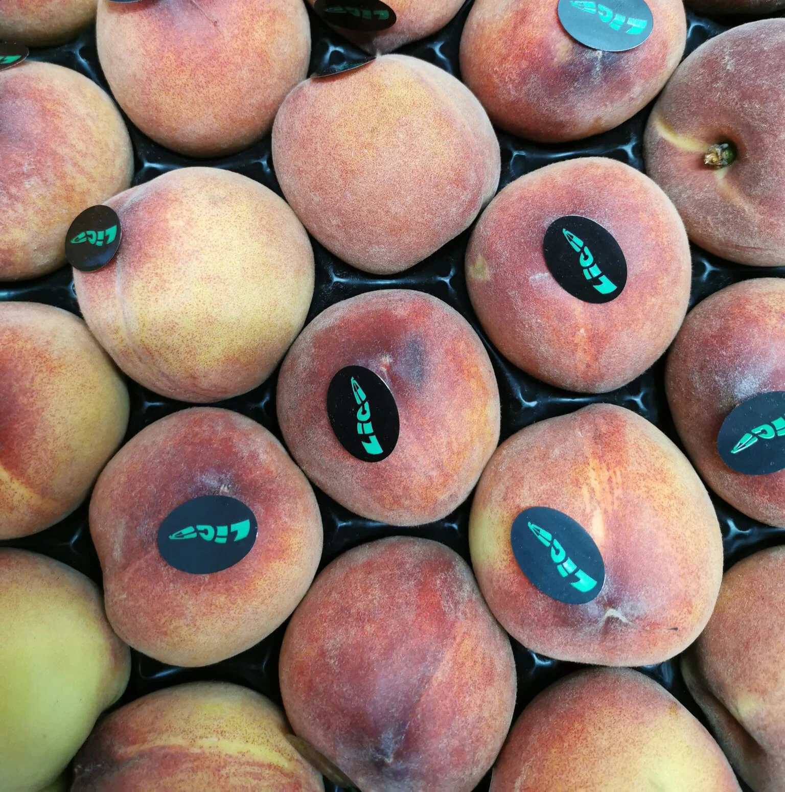 Fruit — Shop Now — Benarty Fruits