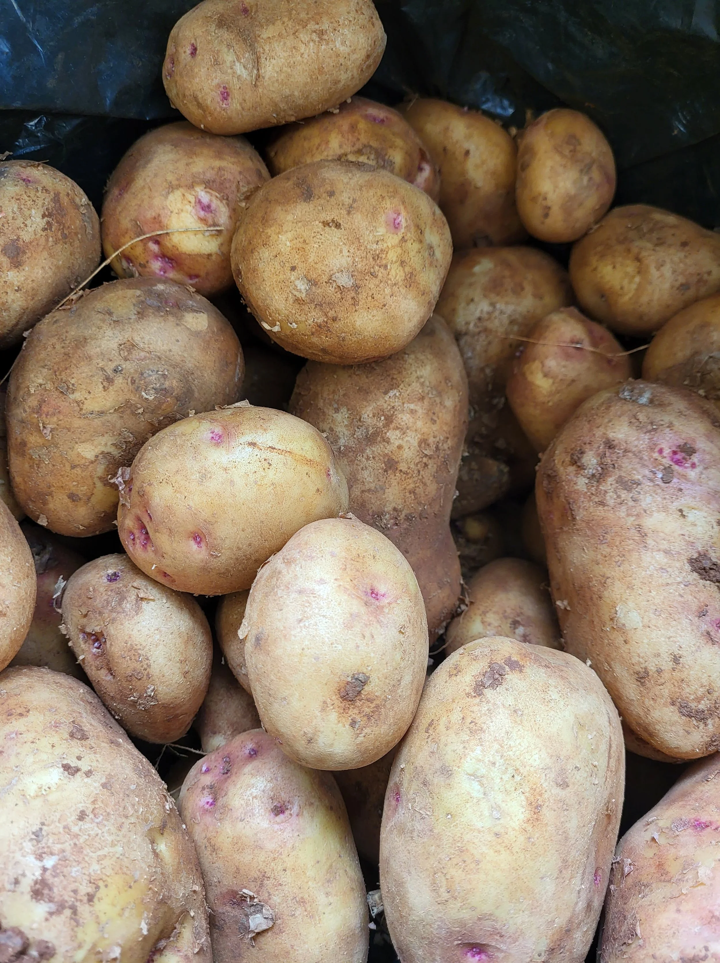 Shop Now — Benarty Fruits