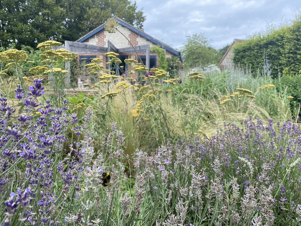 Landscape Designer London | Garden Landscaping - Moore Landscape Design