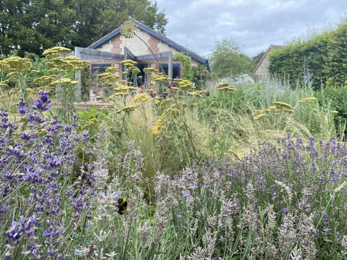 Landscape Designer London | Garden Landscaping - Moore Landscape Design