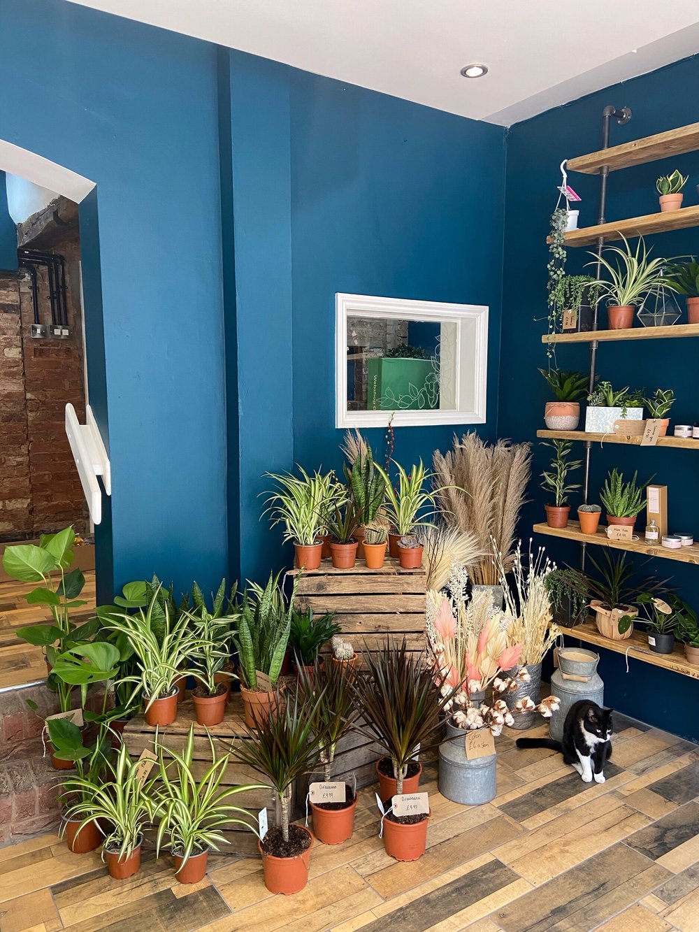 About Us — Ivison, The Lichfield Florist EST.1932