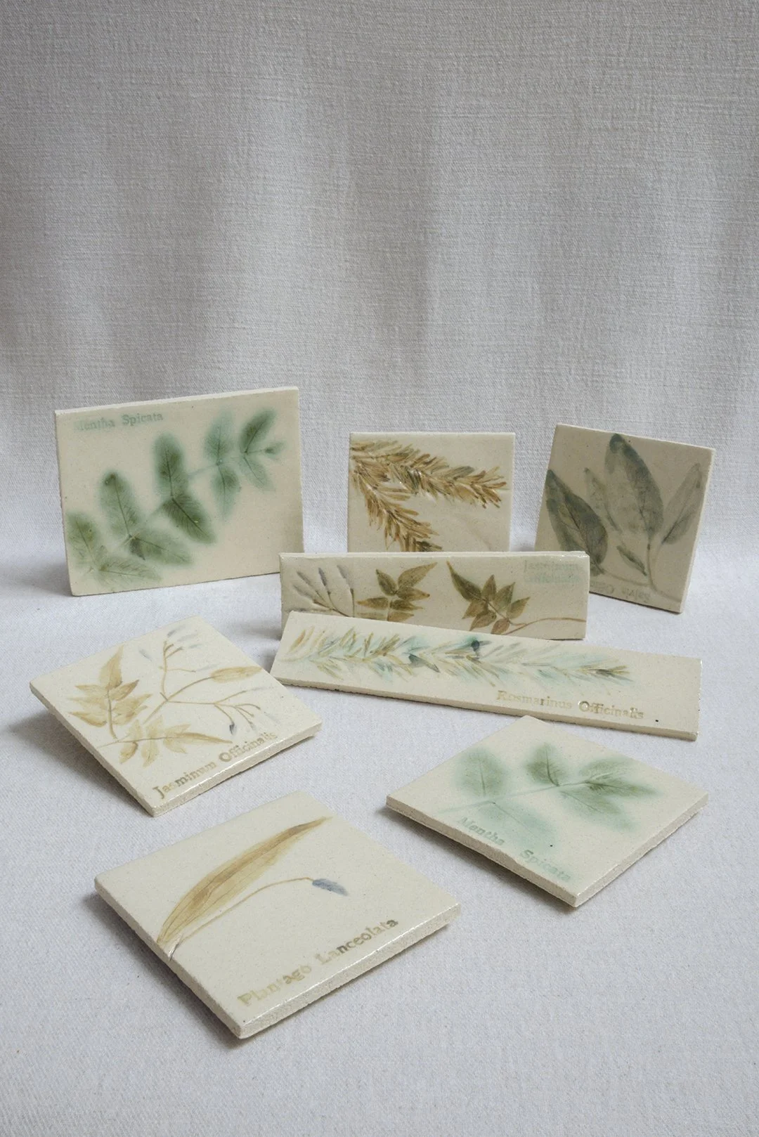 Ceramic Botanical Art - Small — CORAÇÃO ALECRIM