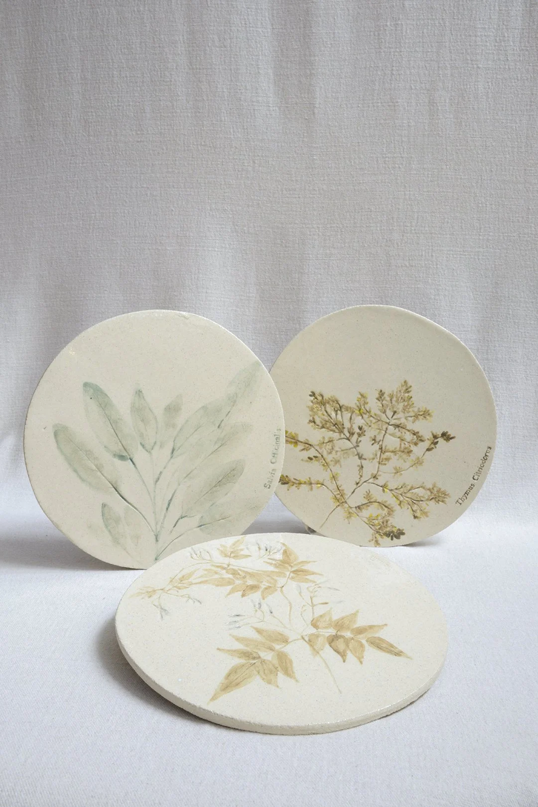 Ceramic Botanical Art - Big — CORAÇÃO ALECRIM