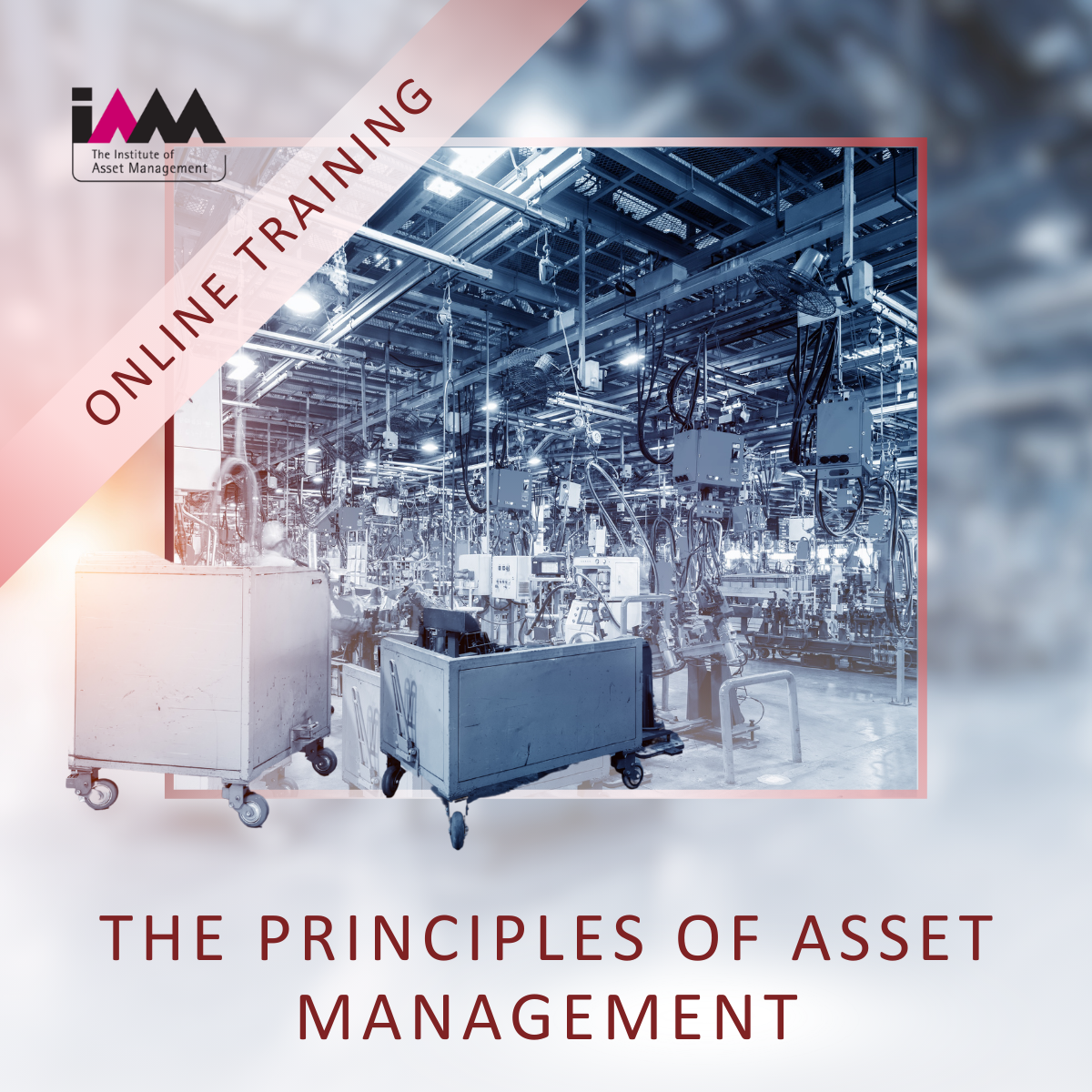 IAM Certificate in Asset Management | ISO 55001-Aligned Training — MCP ...