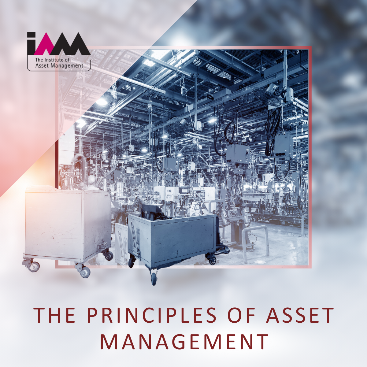 IAM Certificate in Asset Management | ISO 55001-Aligned Training — MCP ...