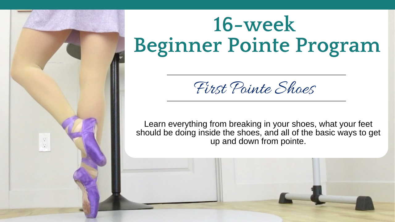 Adult Beginner Pointe Program — Broche Ballet