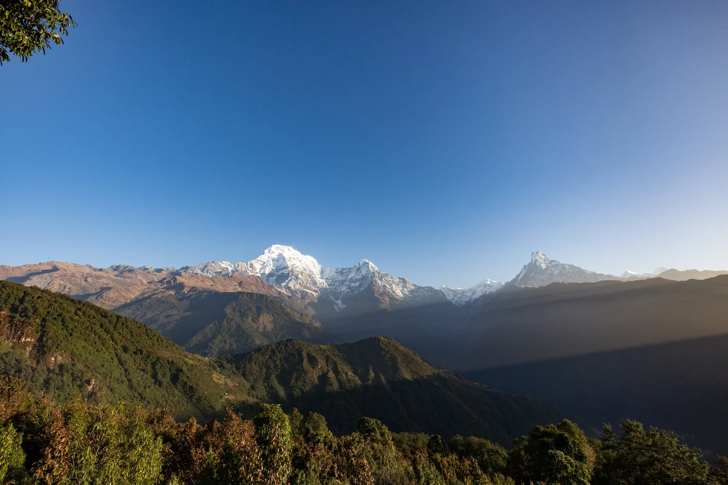 About — Himalayan Youth Foundation