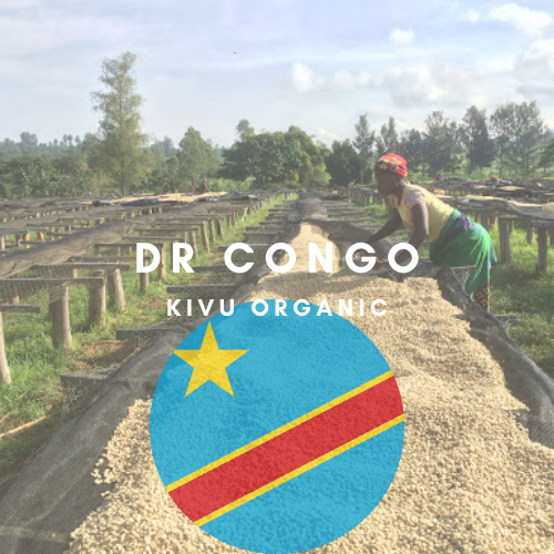 Guatemala Organic Huehuetenango — New City Cafe & Roastery