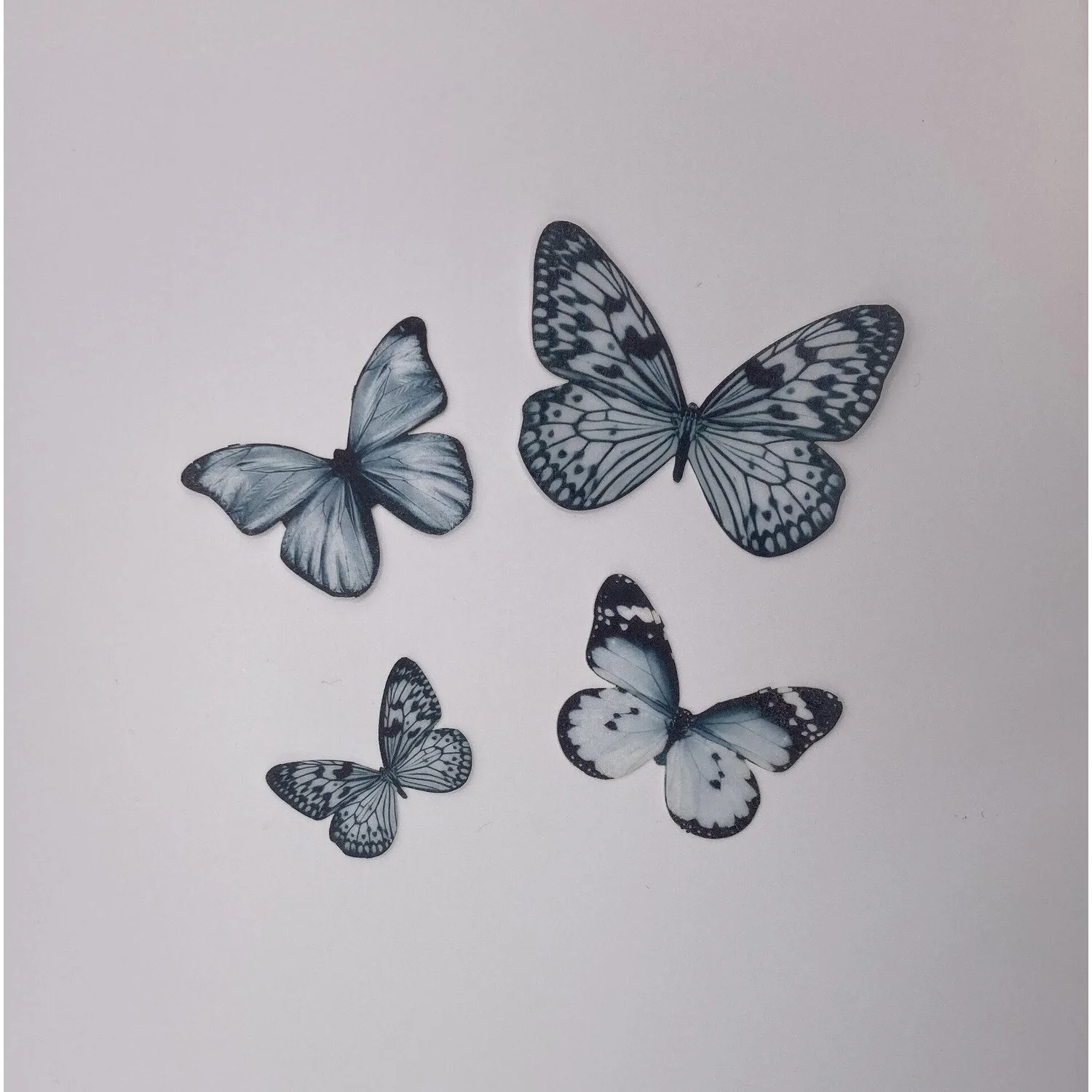 Edible Butterflies for Cake Decorating