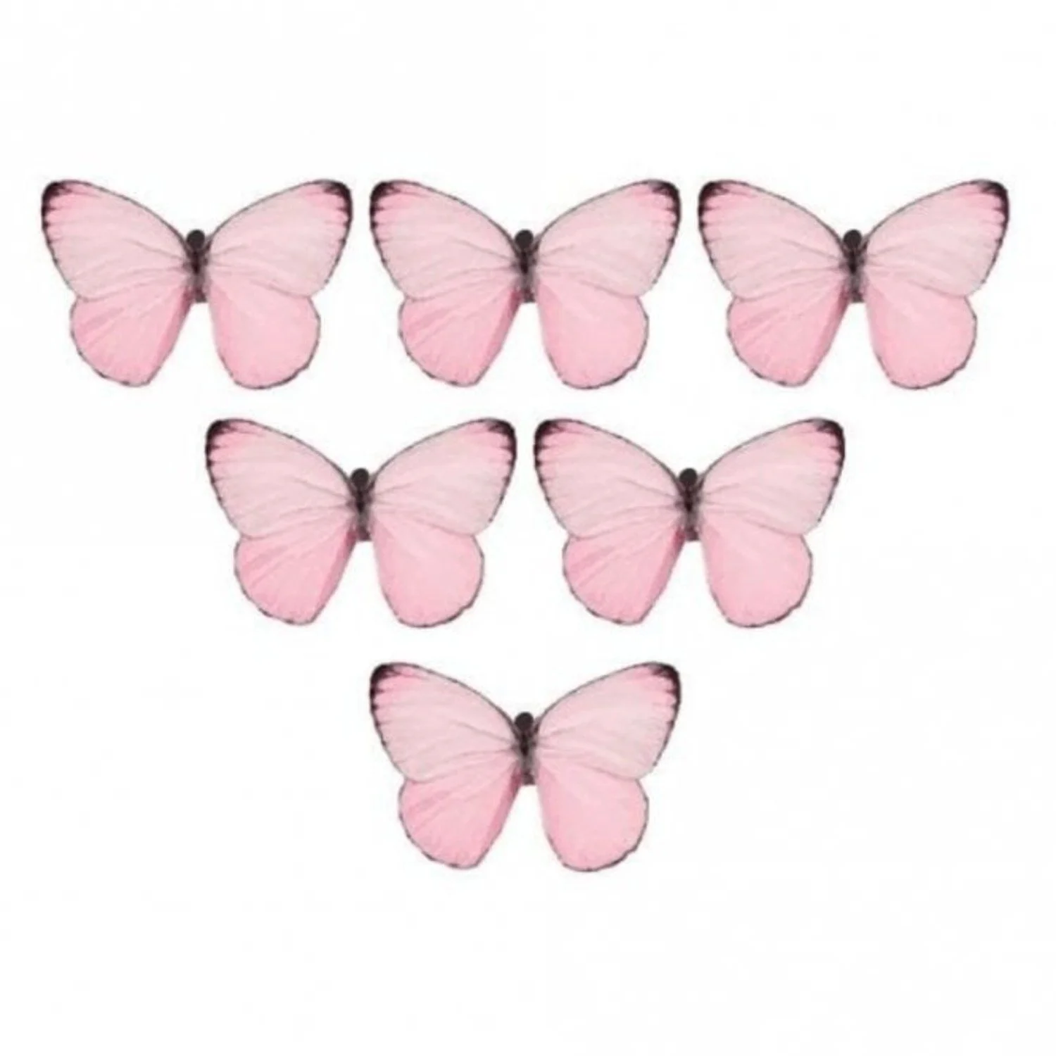Edible Butterflies for Cake Decorating