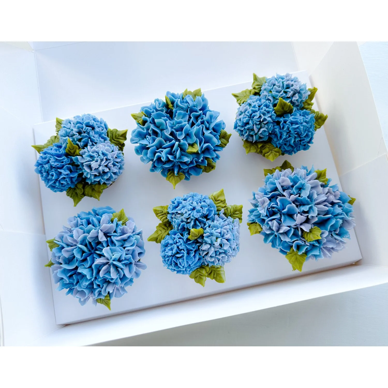 Shop Specialist Cupcake Boxes for Floral Cake Decorating | UK Wide Delivery