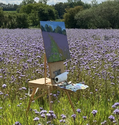 Paintings by David Riches