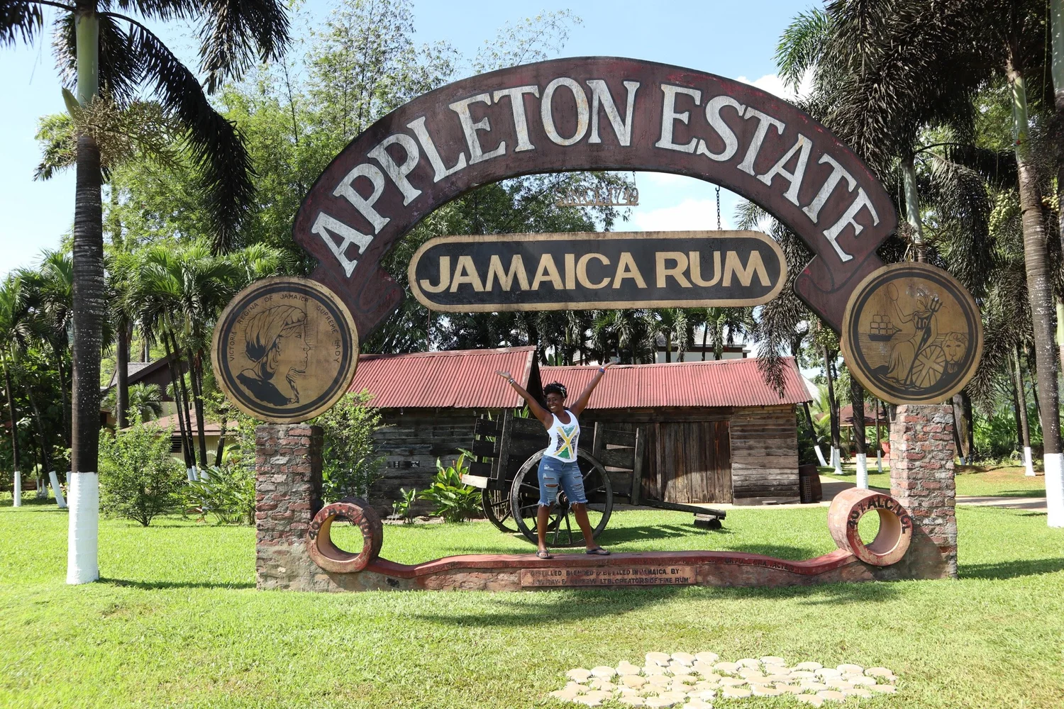 TravelwithToniann can help you find some of Jamaica's hidden gems. Come ...