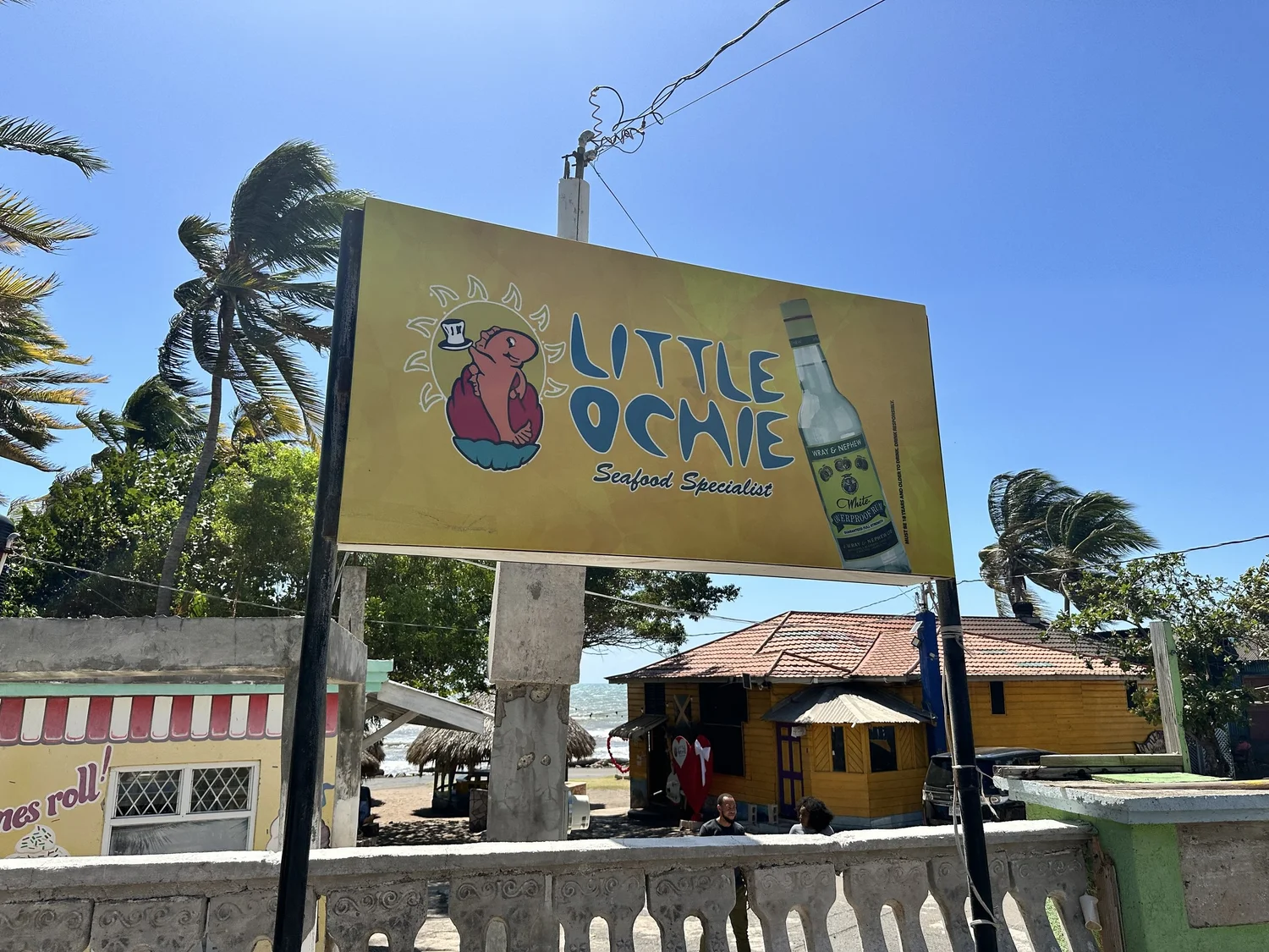 TravelwithToniann can help you find some of Jamaica's hidden gems. Come ...