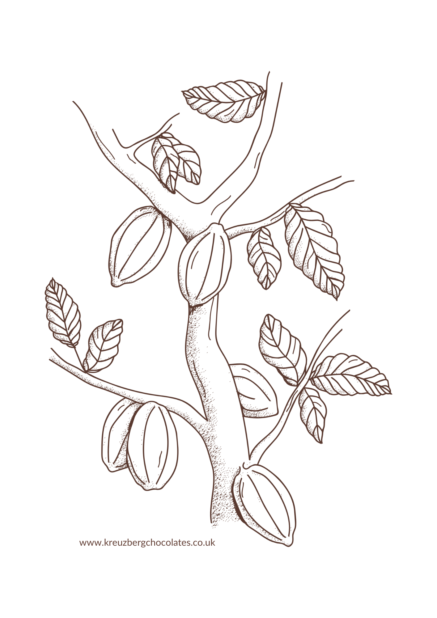 Illustrated Cocoa Tree Card — Kreuzberg Chocolates | Fresh Ethical ...