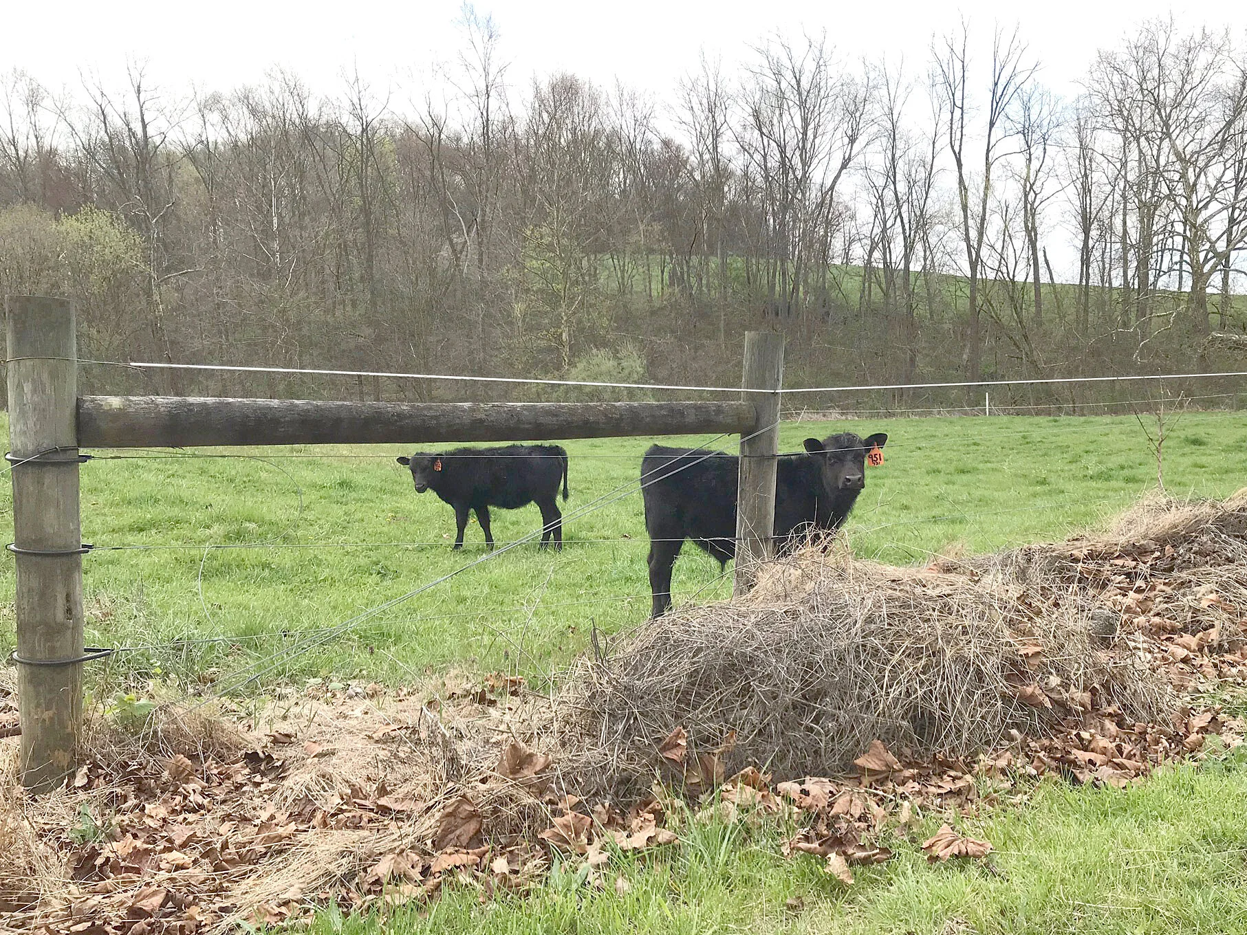 General 1 — Buck Run Farm