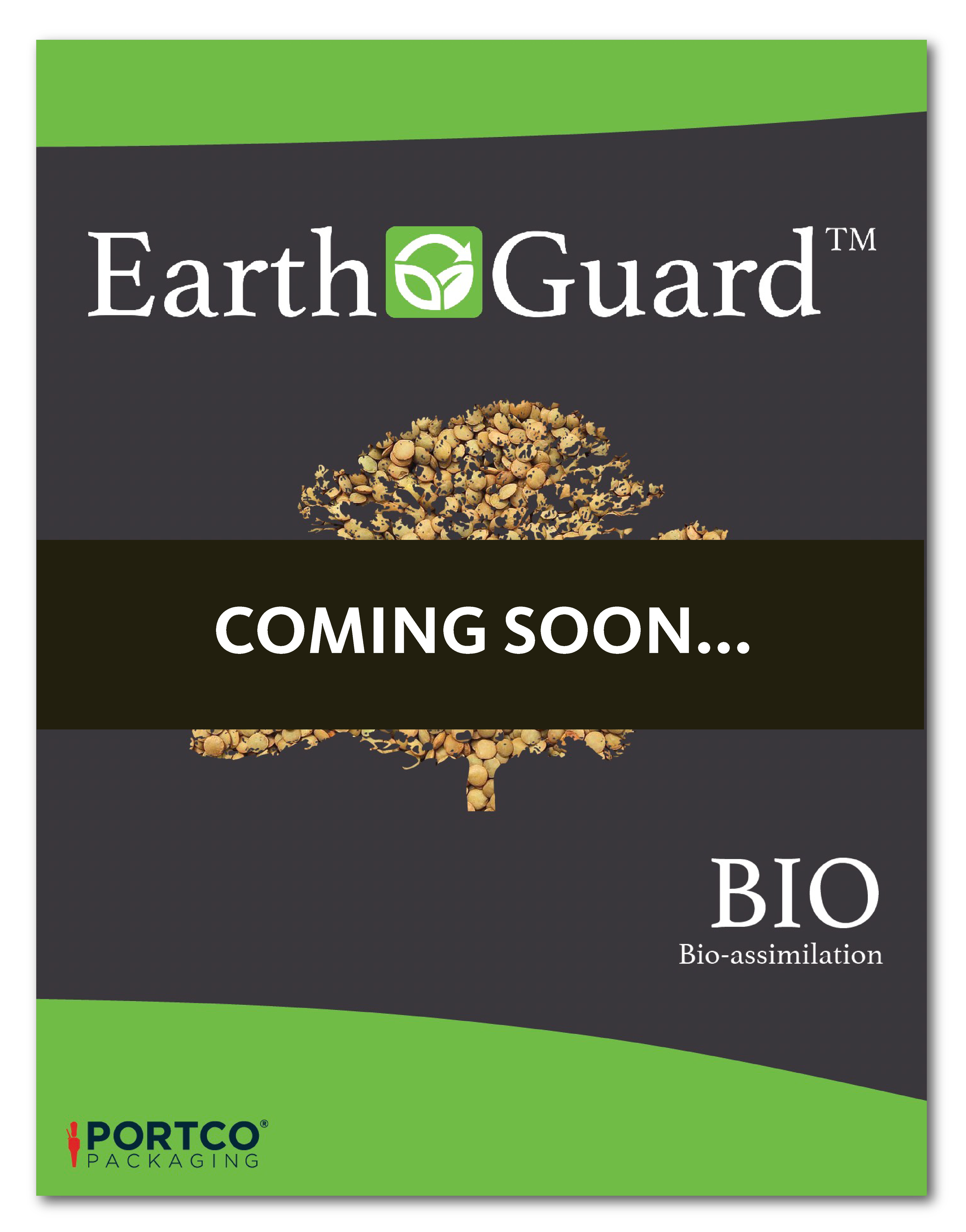 Solutions — EarthGuard