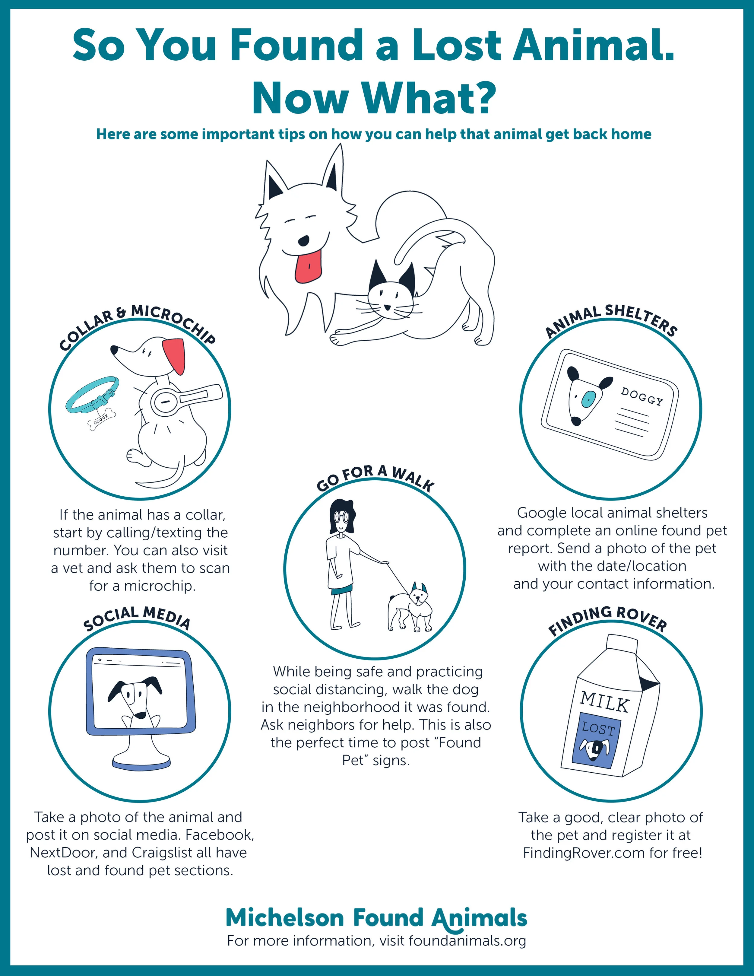 Chicagoland Animal Rescue NFP