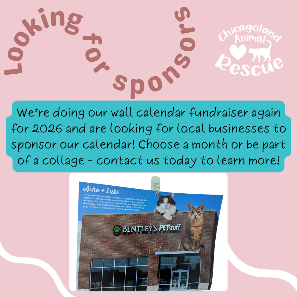 The 2026 CAR calendar is on its way! — Chicagoland Animal Rescue NFP