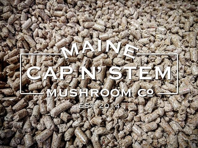 Maine Cap N' Stem