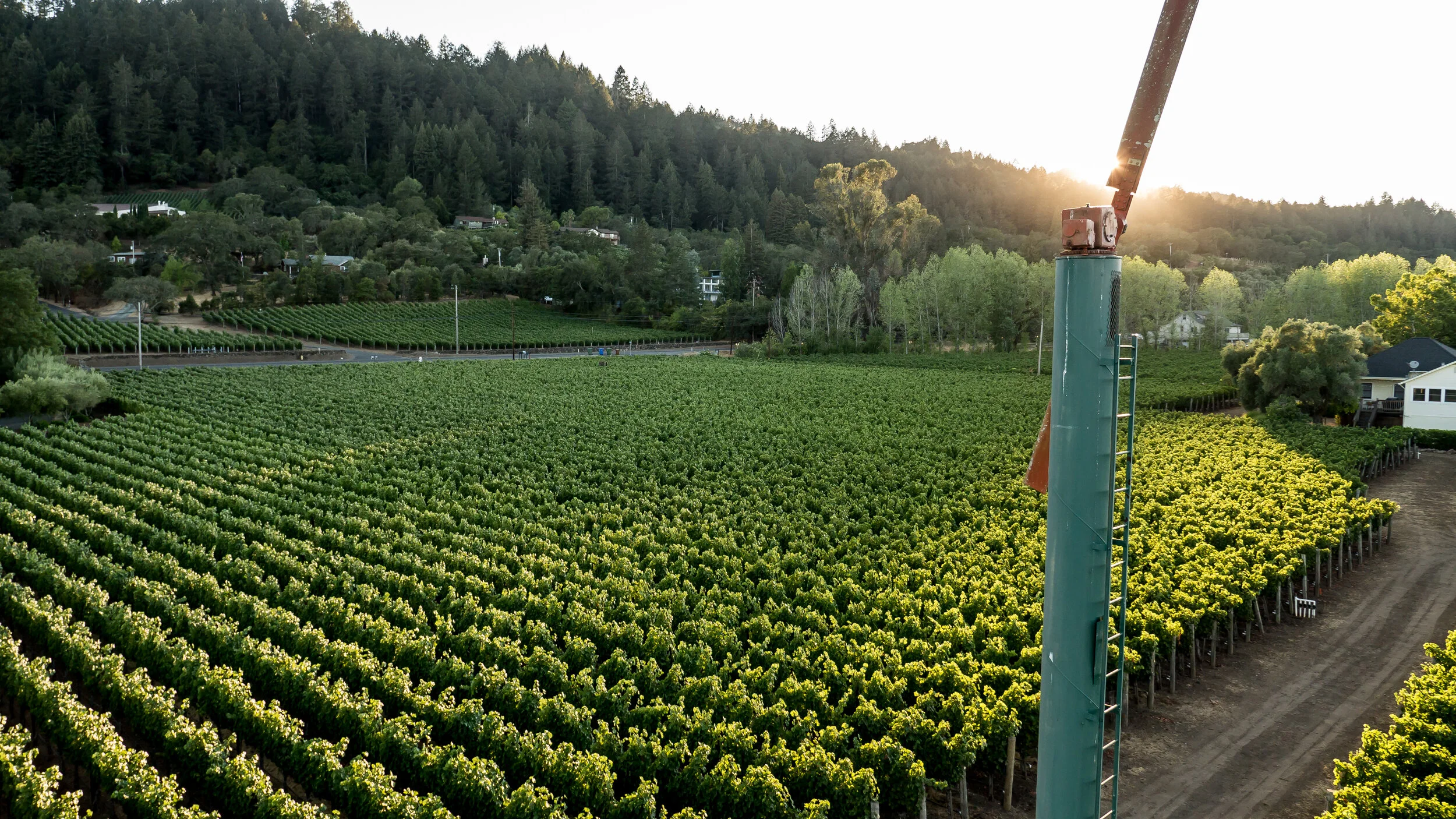 Revana Family Vineyards — Le Sommelier Wine Agency - Toronto, Ontario ...