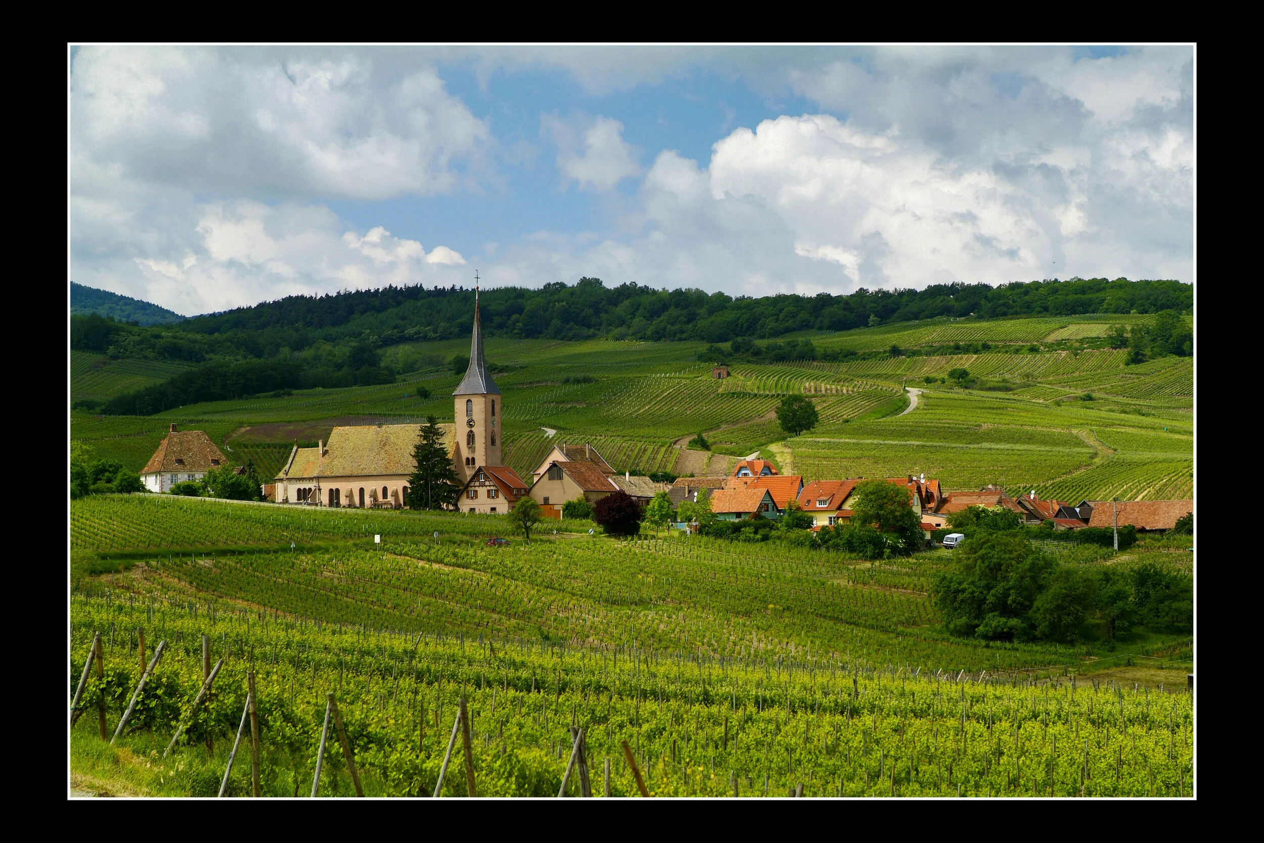 J. M. Sohler — Le Sommelier Wine Agency