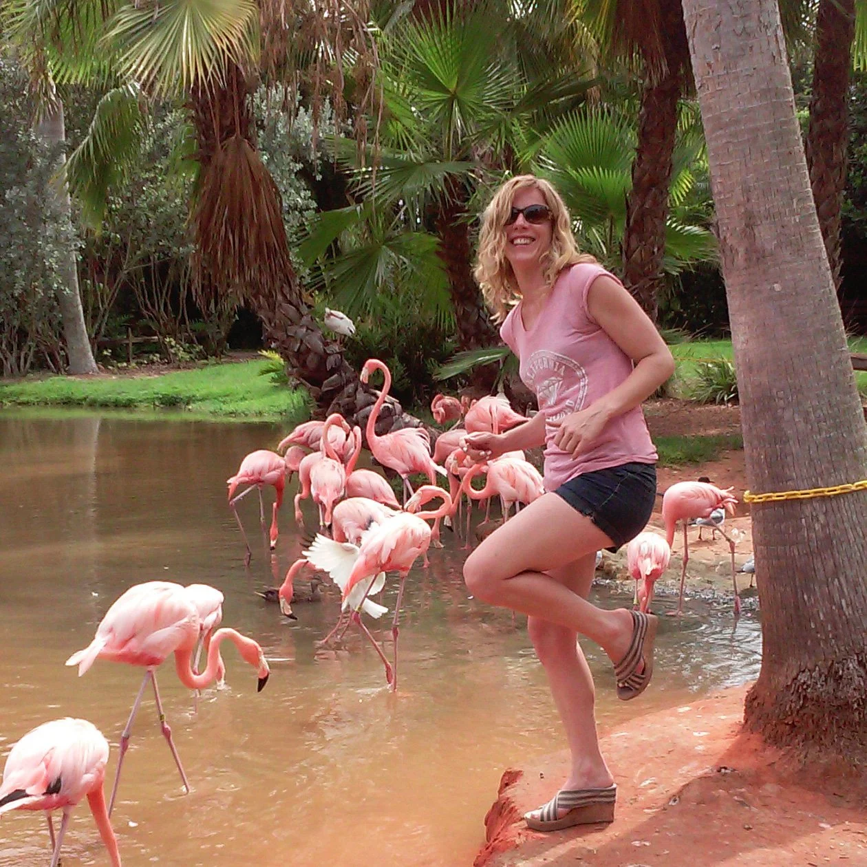 Allison Craven-Lyons — Mundus Bishop