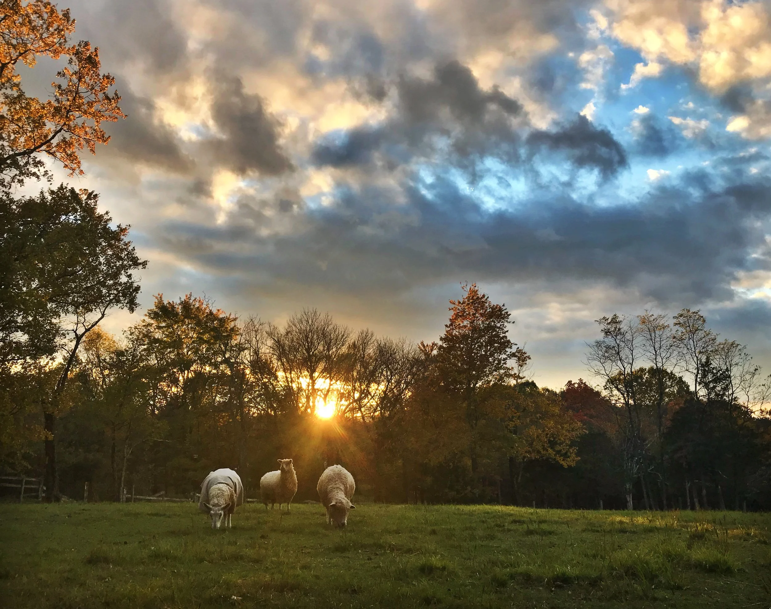 Dancing Leaf Farm — Countryside Artisans