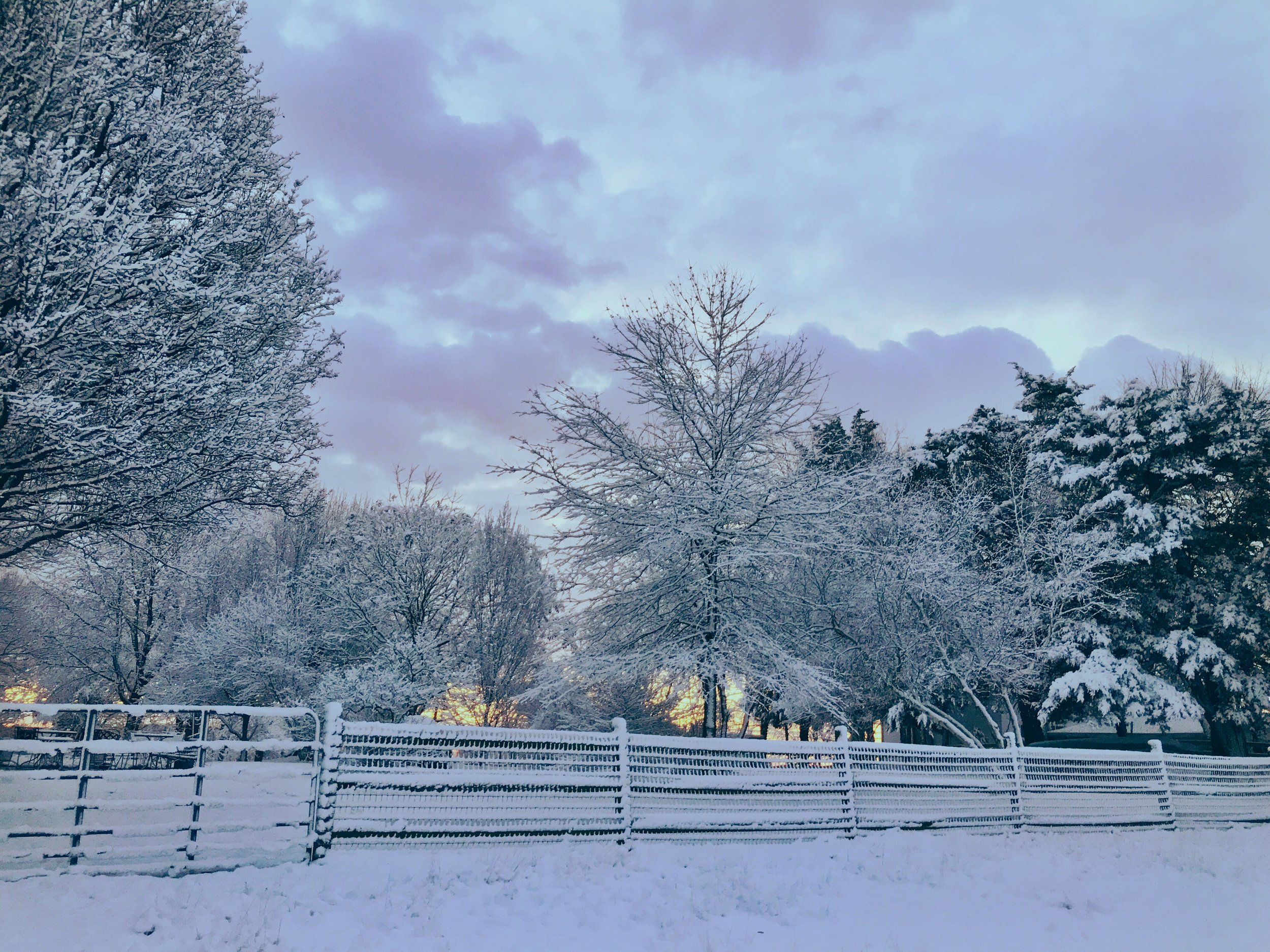 Dancing Leaf Farm — Countryside Artisans