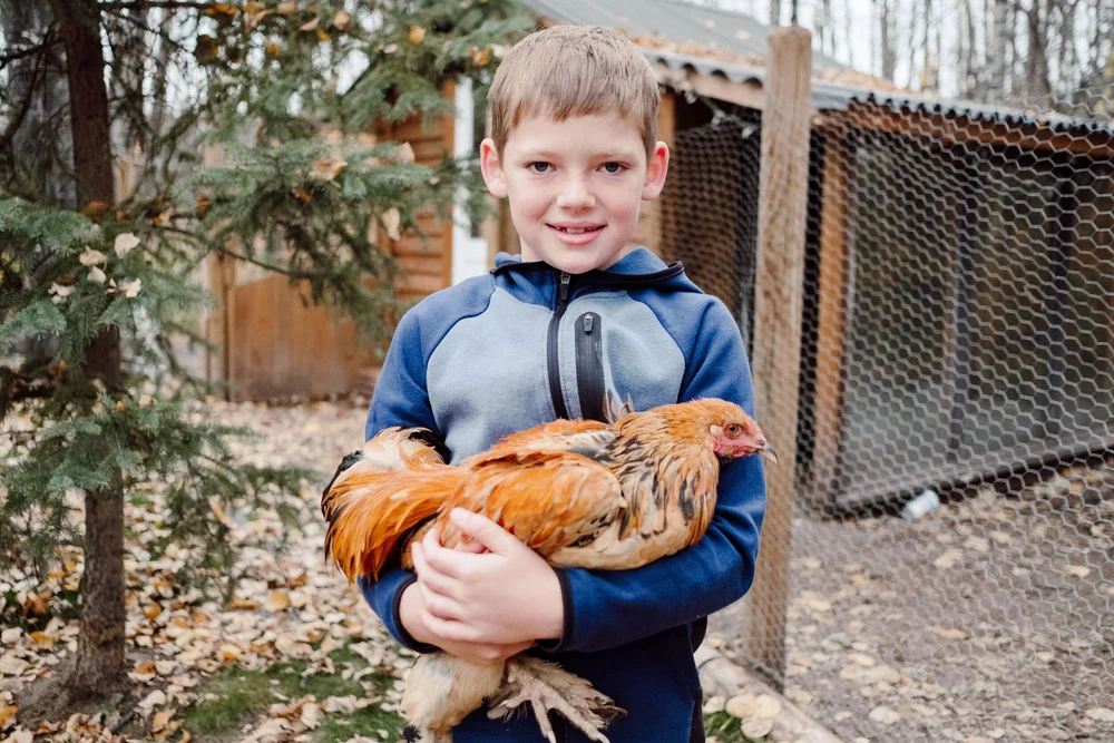 Behind the Fritz Hobby Farm — Fritz Tiny Homes