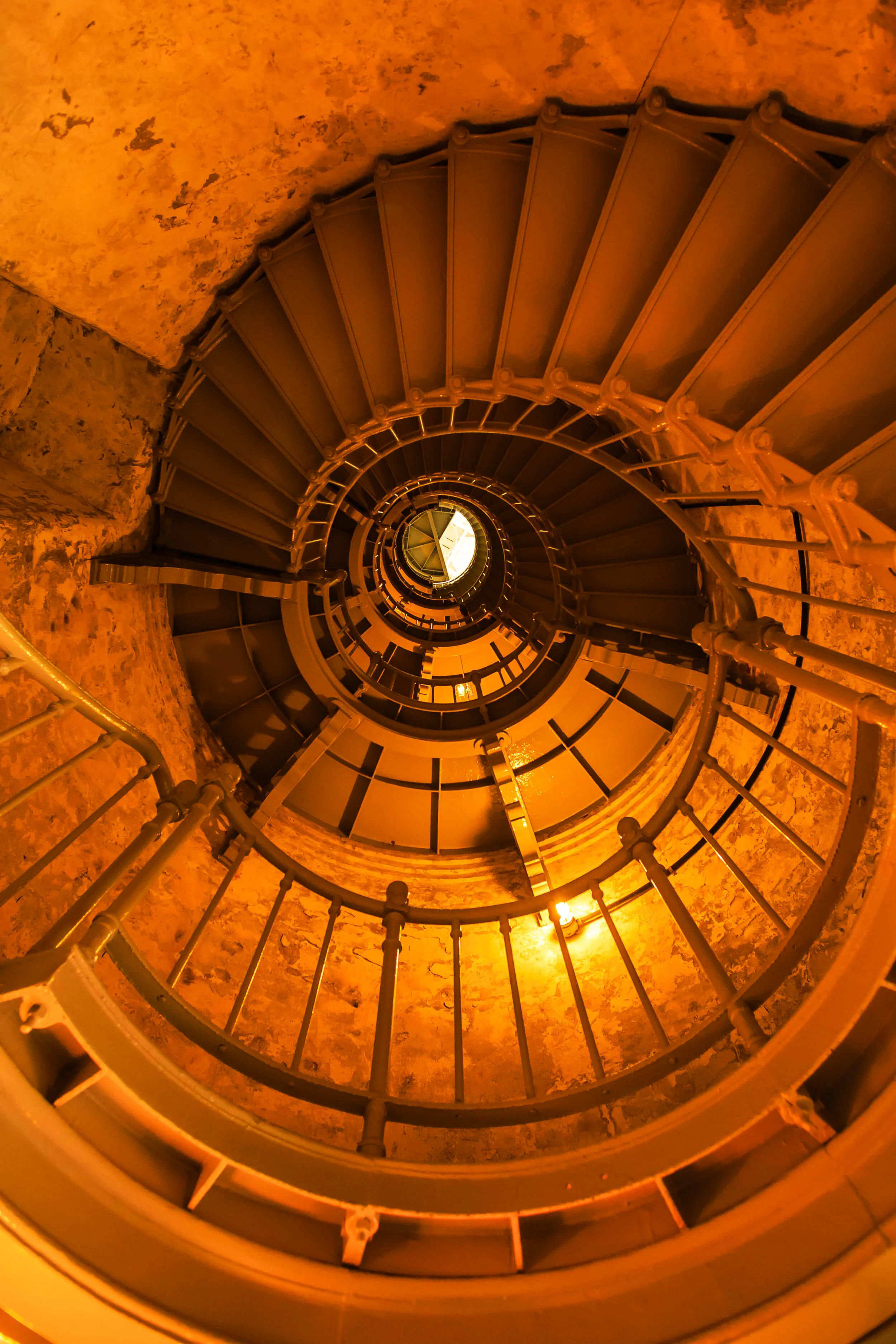 Mar 2020 — Rainier Hills Photography Club