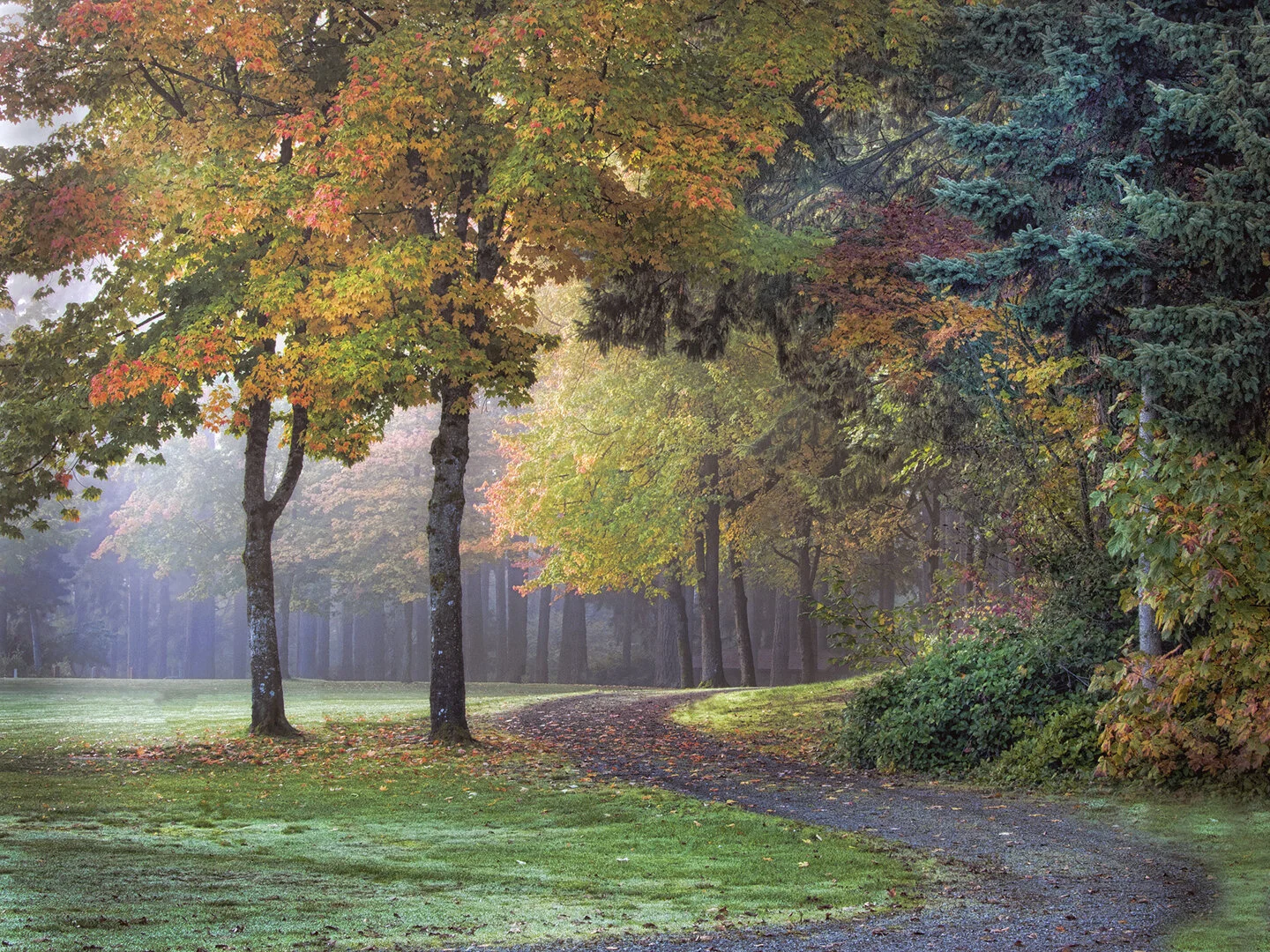 Nov 2019 — Rainier Hills Photography Club