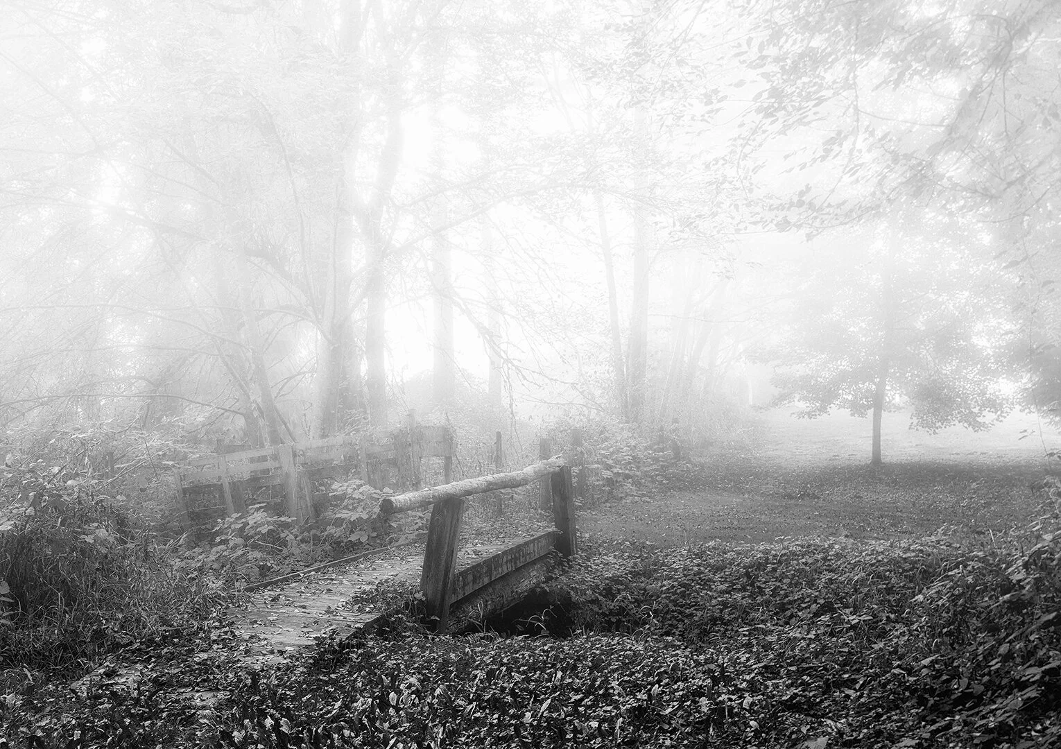 Oct 2019 — Rainier Hills Photography Club