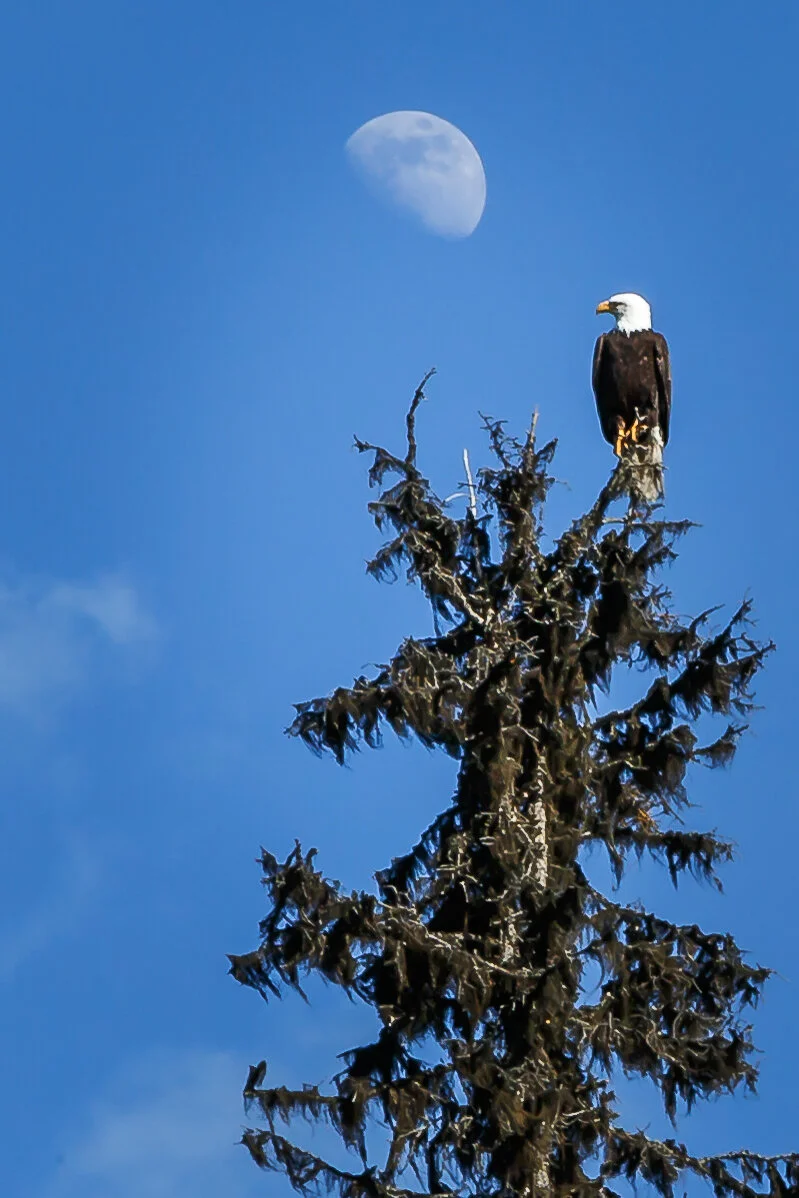 July 2019 — Rainier Hills Photography Club