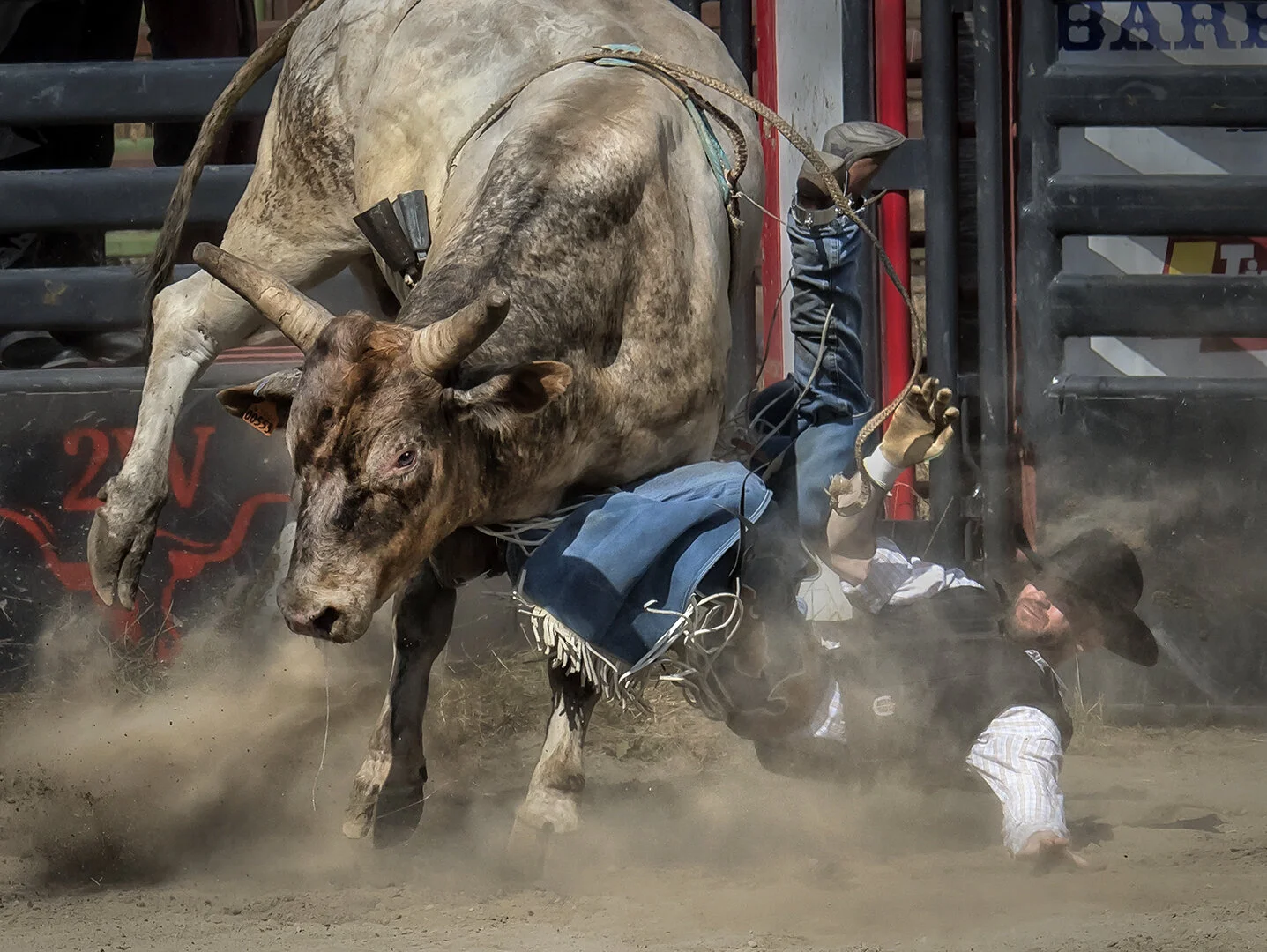 Nov 2018 — Rainier Hills Photography Club