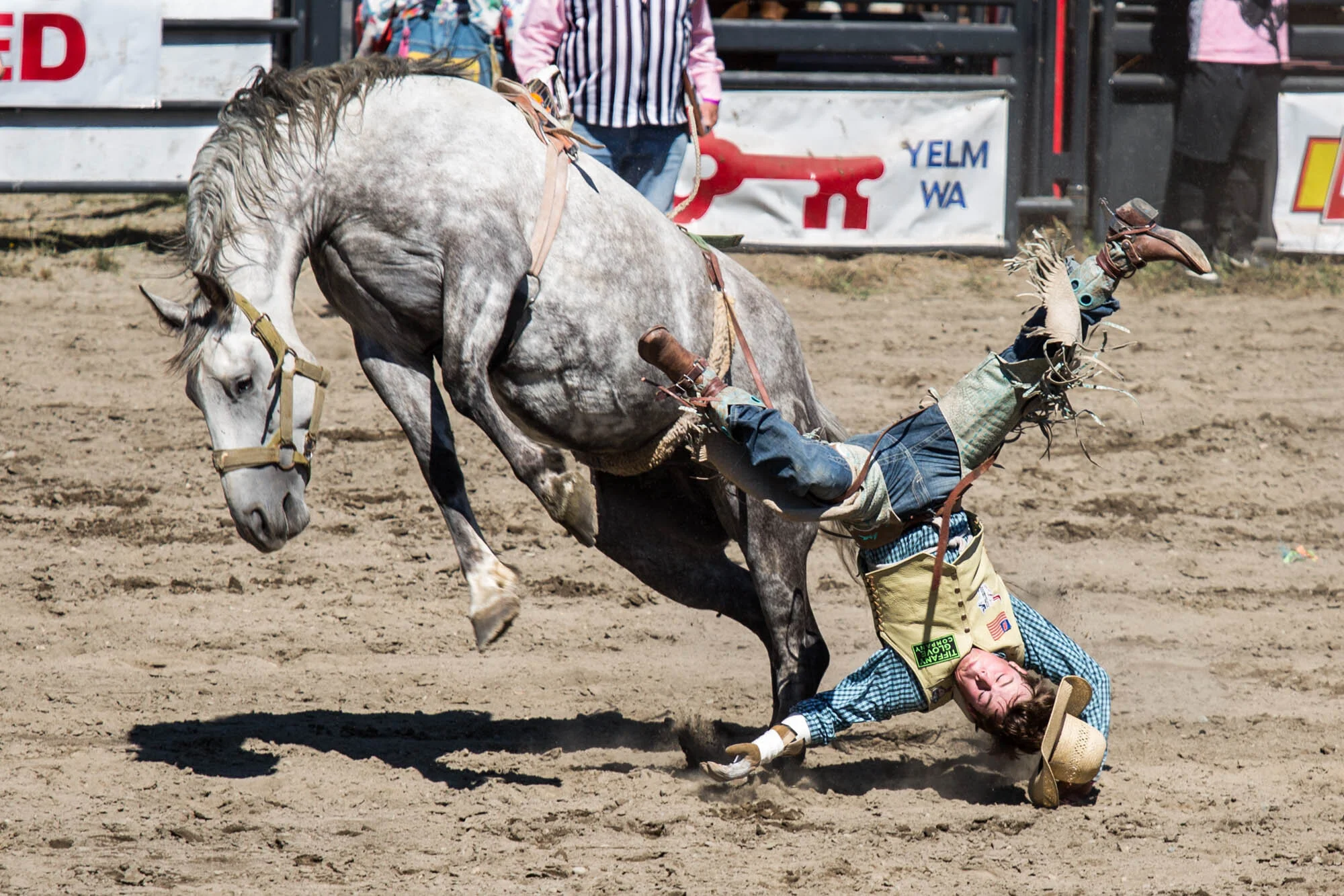 Nov 2018 — Rainier Hills Photography Club