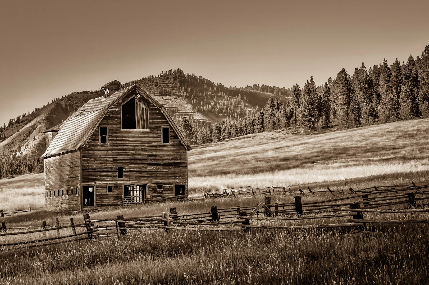 July 2017 — Rainier Hills Photography Club